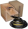 Amazon.com: FunFamz The Original Spider Prank Box- Funny Wooden Box Toy ...