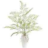 ・ブランド:Epicpetal・製造元:EPICPETAL・モデル:Fake plant・製造元/メーカー部品番号:Fake plant・メンテナンス不要のリアルなデザイン:Epicpetalの人工植物インドアは、水やりを必要とせず、ご自宅...