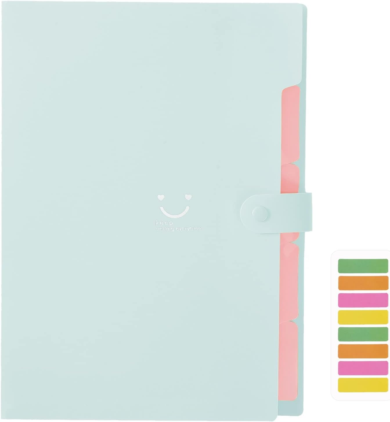 Amazon.com: Accordion File Organizer - Expanding File Folder - File ...