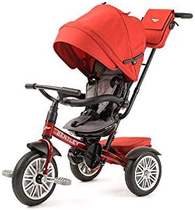 Bentley 6 In 1 Baby Tricycle and Stroller with Bentley Bag (Black ...