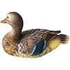 Amazon.com: RQPQBO Resin Floating Ducks Statue Garden Decor Realistic ...
