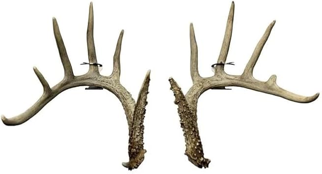 Amazon.com : Antler Anchor Co - Shed Antler Hanger Set - Original ...