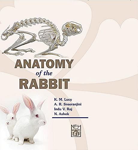 Rabbit Foot Anatomy