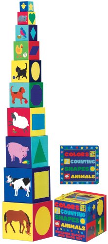 Colors, Counting, Shapes, Animals Building Blocks & Board Book Set : WJ ...