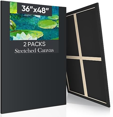Amazon.com: Large Canvases for Painting, 36x48 Inch 2-Pack Painting ...