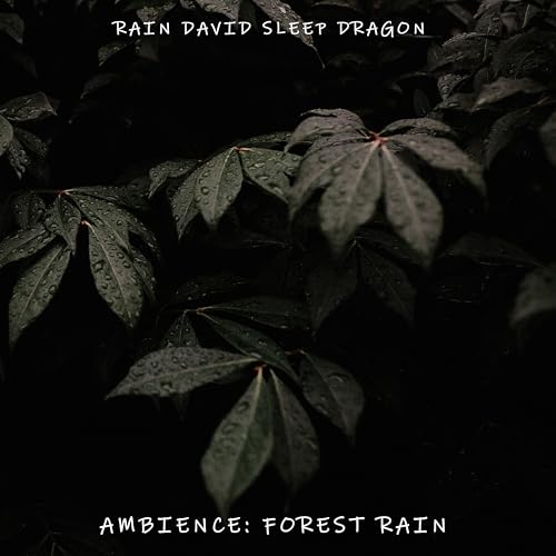 Amazon Music - Rain David Sleep DragonのAmbience: Forest Rain - Amazon.co.jp