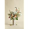 Amazon.com: RIFLE PAPER CO. Beetles & Bugs Porcelain Vase for Room and ...