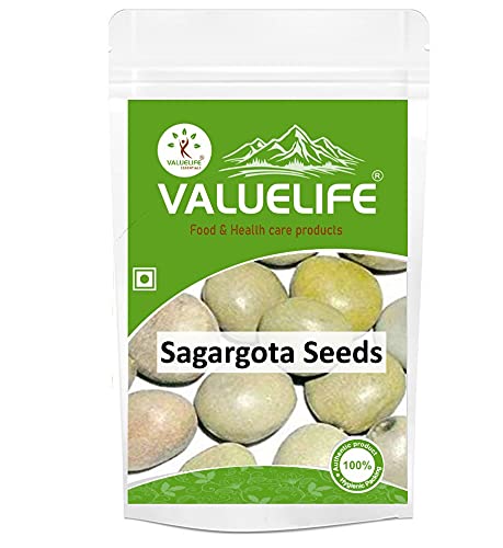 Valuelife Sagargota Seeds/Karanjwa (100g) : Amazon.in: Health ...