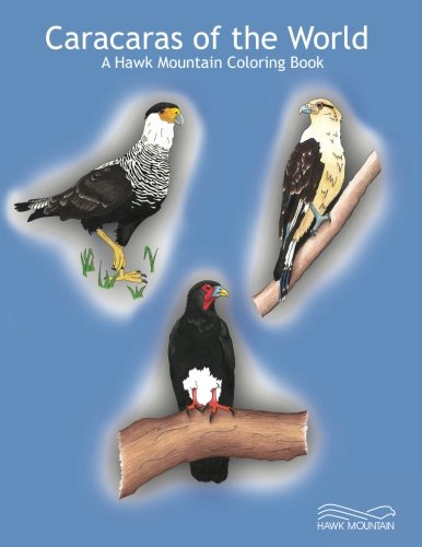 Caracaras of the World: a Hawk Mountain Coloring Book: Autilio, Anna ...