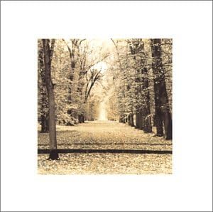Facets [Us Import]: Amazon.ie: CDs & Vinyl