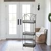 Amazon.com : Farmers Favorite 3 Tier Rack, Slim Line Design, Plant ...