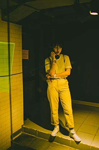 Photo of Female Standing Using a Payphone Poster Print Size 12x18 ...