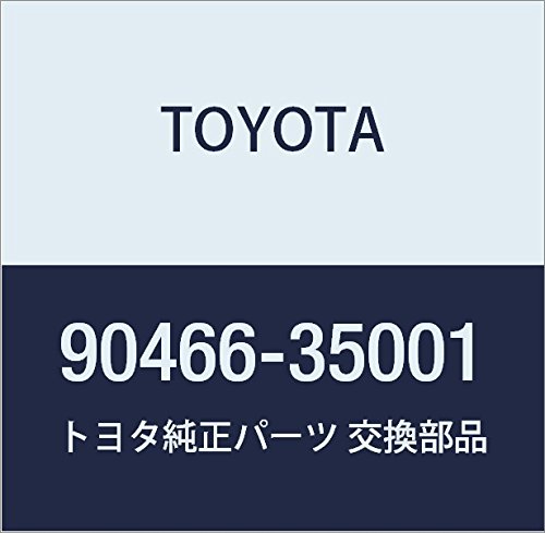 Toyota 90466-35001 Hose Clamp Clip (for Radiator Inlet) : Amazon.in ...