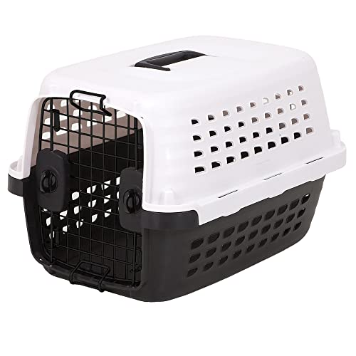 5 Cat Carriers that Made It to the TCS Members' Hall of Fame!