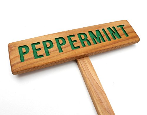Amazon.com: PEPPERMINT Garden Sign, Painted & Oil Sealed Cedar Wood ...