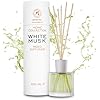 Amazon.com: Reed Diffuser White Musk 3.4 Fl Oz - Room Fragrance - Home ...