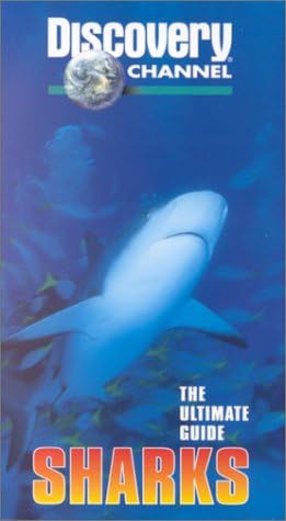 Amazon.com: The Ultimate Guide - Sharks [VHS] : Ultimate Guide: Sharks ...