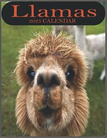 Llamas Calendar 2023: Calendar 2023-2024 16 month Perfect Calendar for ...