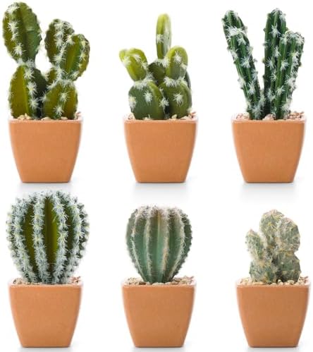 Amazon.com: MyGift Set of 4 Assorted Miniature Artificial Succulent ...