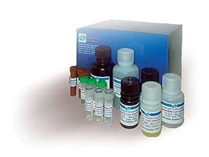 Amazon.com: Glycogen Assay Kit (E2GN-100) : Industrial & Scientific