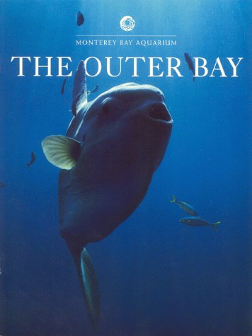 The Outer Bay: Rigsby, Michael: 9781878244123: Amazon.com: Books