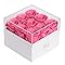 Amazon.com: GLAMOUR BOUTIQUE Preserved Roses in a Box - Gifts for Her ...