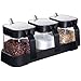 Amazon.com | W WBLD Glass Condiment Jar Spice Container with Lids and ...