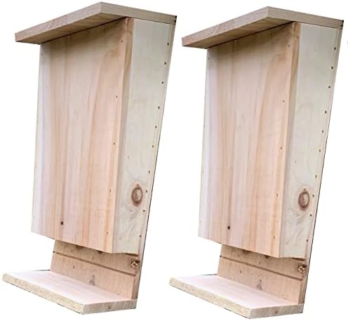 Selections Pack of 2 Large Wooden Bat Nesting Roosting Boxes : Amazon ...