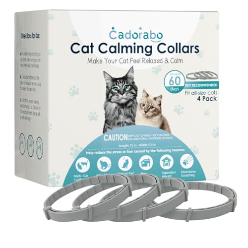 Cat Calming – The 15 best products compared - Wild Explained