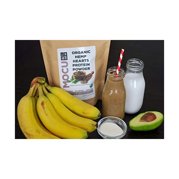 Get Chia Organic Hemp Heart Protein Powder-74% | 22 Grams Protein Per ...