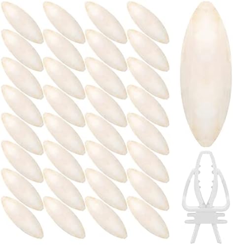 Amazon.com : 40 Pcs Cuddle Bone Cuttlefish Bone 3.0" to 3.5" Cuttlebone ...
