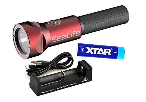 10 Best Dive Lights For Recreational Scuba Divers