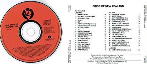 Top 30 Music of Australia & New Zealand To Listen (March 2025) - Cherry ...