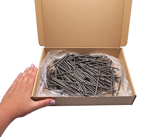 SKIR’CO (170 pcs) Steel 4.0 x 100 mm Construction Nails, Flat Round ...