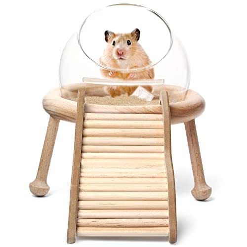 Amazon.com: Tuksik Hamster Sand Bath Kit,360° Viewing Container Space ...