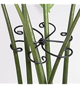Amazon.com : YOHSNOR 5PCS Monstera Plant Support System 4.1IN - Durable ...