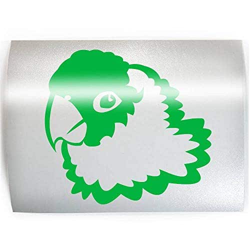 Amazon.com: Conure Parrot - PICK COLOR & SIZE - Bird Parrots Love Vinyl ...