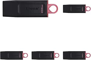 Amazon.com: Kingston DataTraveler Exodia 256GB USB 3.2 Flash Drive DTX ...
