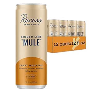 Amazon.com : Recess Zero Proof Craft Mocktails, Alcohol Free Drinks ...
