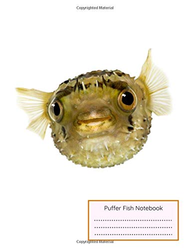 Puffer Fish Notebook: Cute Puffer Fish Exercise Book and Composition ...