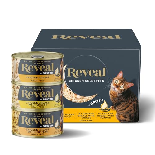 Fresh Food for Cats – The 15 best products compared - Wild Explained