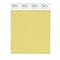 PANTONE Smart 14-0837X Color Swatch Card, Misted Yellow - House Paint ...