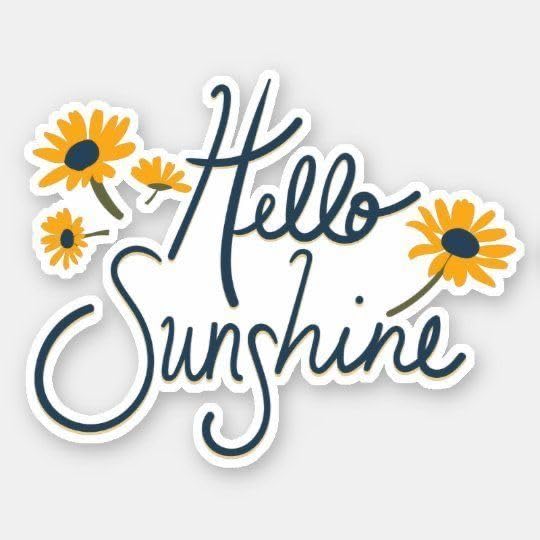 Amazon.com - Hello-Sunshine Cute Sticker Decal for Wall, Laptop, Cell ...