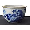 Amazon.com | Jingdezhen Hand-painted Howling Tiger Crackle Ice Pattern ...
