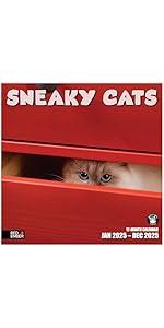 Amazon.com: RED EMBER Fat Cats 2025 Wall Calendar 12 Month | 12" x 24 ...