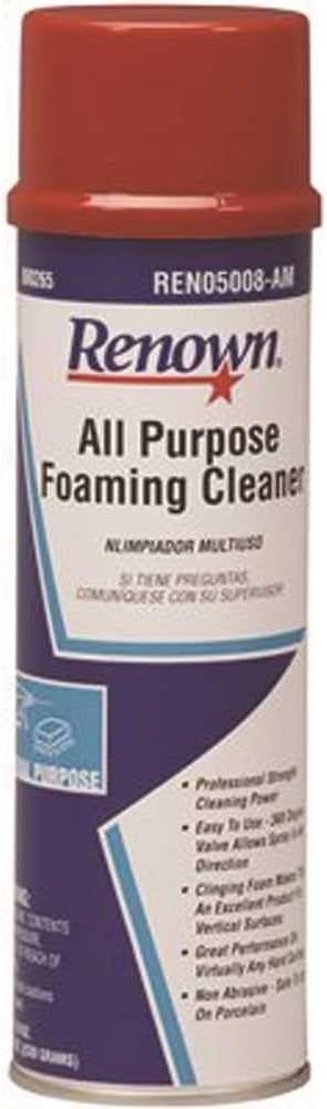 Amazon.com: RENOWN GIDDS-880265 19 oz All Purpose Foam Cleaner Aerosol ...