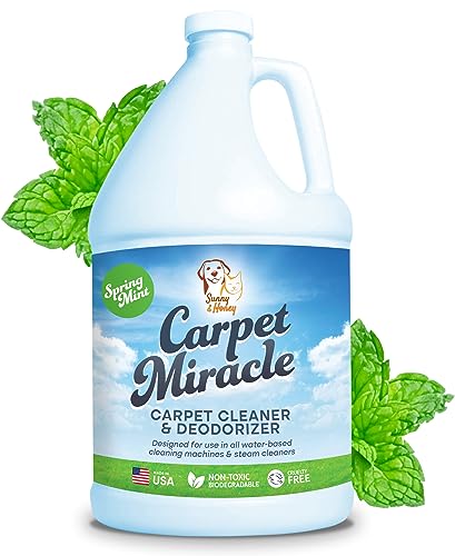 Top 10 Commercial Carpet Cleaner Solution of 2022 - Katynel