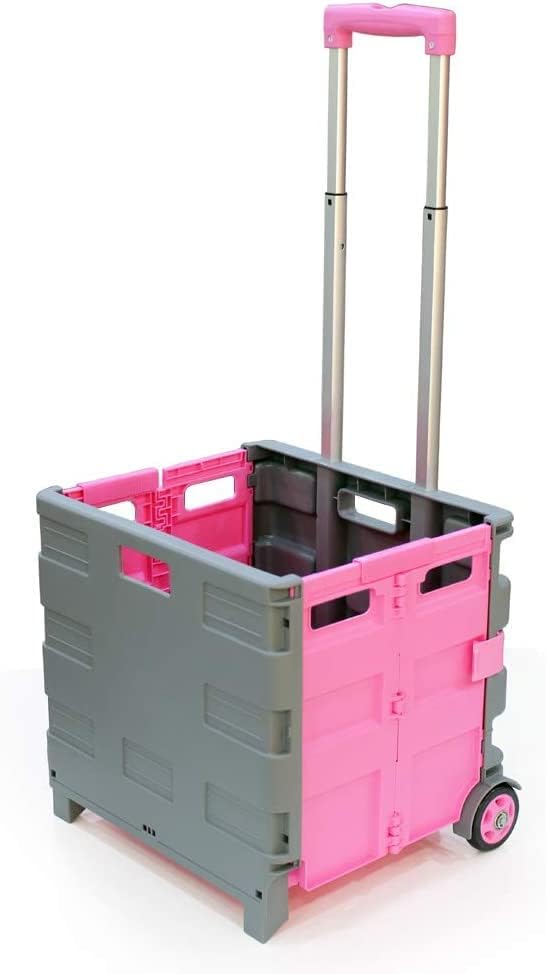 Berry 40 KG Foldable Shopping Trolley - Mint Green & Grey, Plastic ...