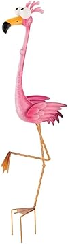 Amazon.com: Regal Art & Gift Metal Goofy Bird Stake, Bird Decor for ...