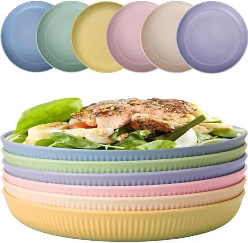 Taasmoog Unbreakable Dinner Plates Set, 6Pcs Plastic Plates Reusable ...